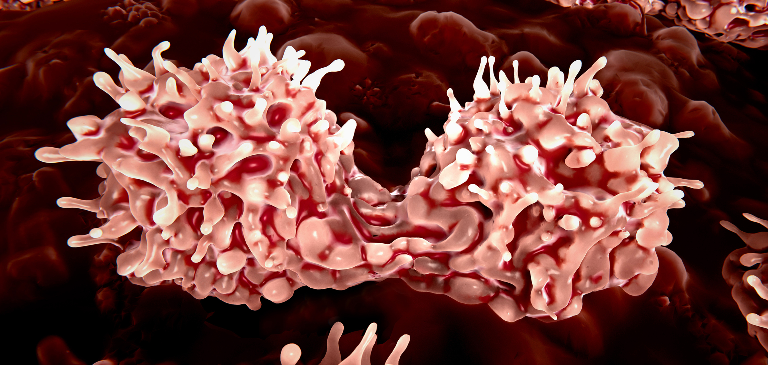 Cell Therapy at Evotec (Overview)